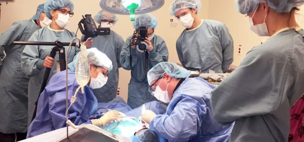 IADT-ASD Guidelines – International Association of Dental Traumatology